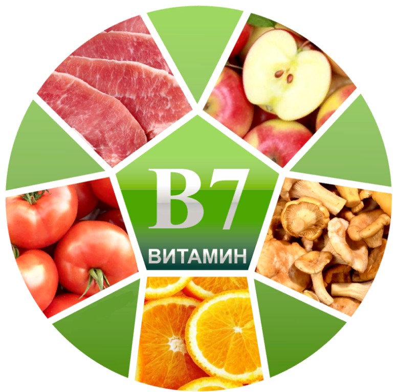 Витамин B7 и его роль для организма